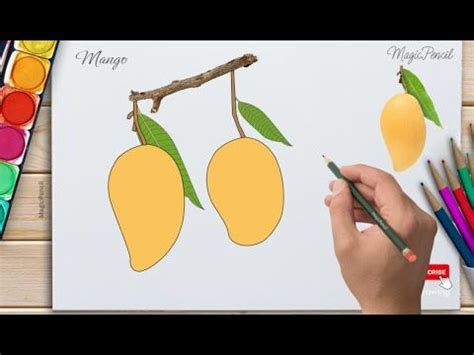 How To Draw A Mango Step By Step With Magic Pencil Drawings Pencil Drawings Drawings Draw