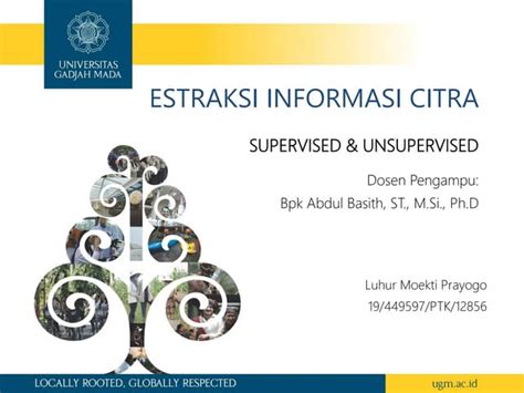 Supervised And Unsupervised Classifications Pdf