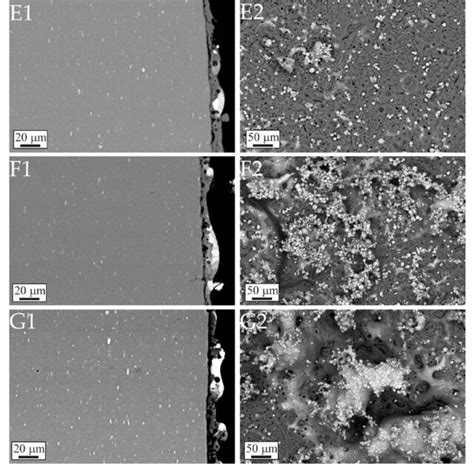 Sem Microstructures Of Cross Sections Left And Surfaces Right Of