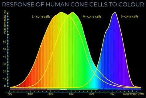 Lms Colour Space