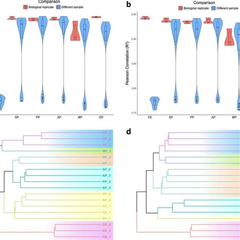 Pearson Correlation Analysis And Cluster Analysis Between Samples In Download Scientific