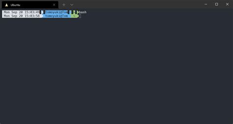 Display Error · Issue 11275 · Microsoftterminal · Github