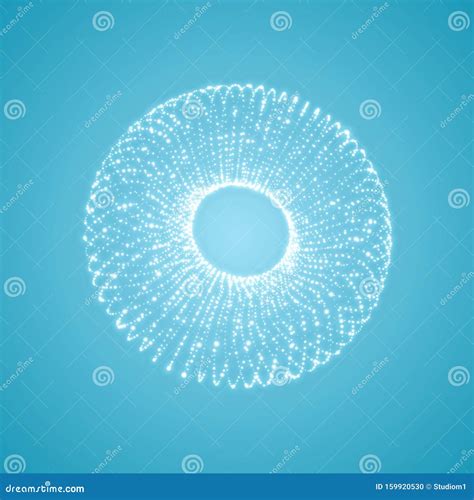 Torus The Torus Consisting Of Points Connection Structure Torus