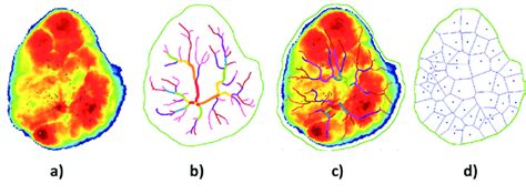 Dividing Placental Topography A 3d Placental Thickness Map B 2d Download Scientific Diagram