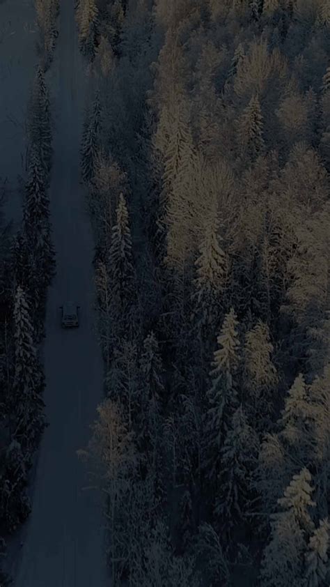 StoneForest - Creative | Video | YouTube | Production | Promotion ...