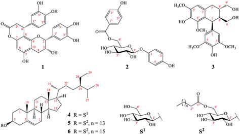 Structures Of Compounds 1 6 Isolated From R Mucronata Download