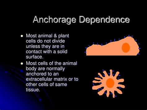 Anchorage Examples At Joyce Sargent Blog