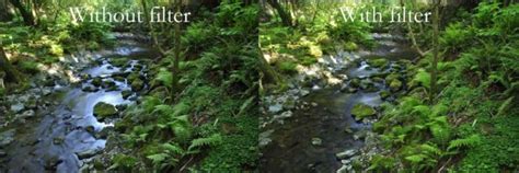 What Does A Polarizing Filter Do Before And After Comparisons Creative Pad Media