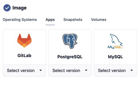 Osie 24 3 0 Image Categories And Instance Metrics