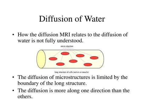 Ppt Visualizing Fiber Tracts In The Brain Using Diffusion Tensor Data Powerpoint Presentation