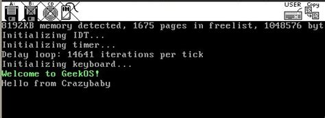 Geekos之旅 Project0 Echo Your Input Until You Press Ctrl D Csdn博客