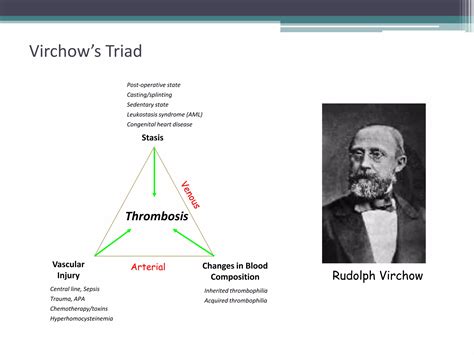 Laboratory Tests Of Hemostasis And Coagulation System Pptx