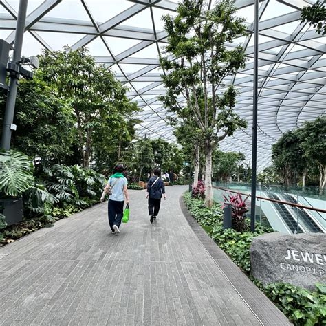 싱가포르 테마파크 싱가포르 쥬얼 창이공항 어트랙션 입장권 캐노피 파크 헤지 메이즈 미러 메이즈 워킹 네트 바운싱 네트 마이리얼트립