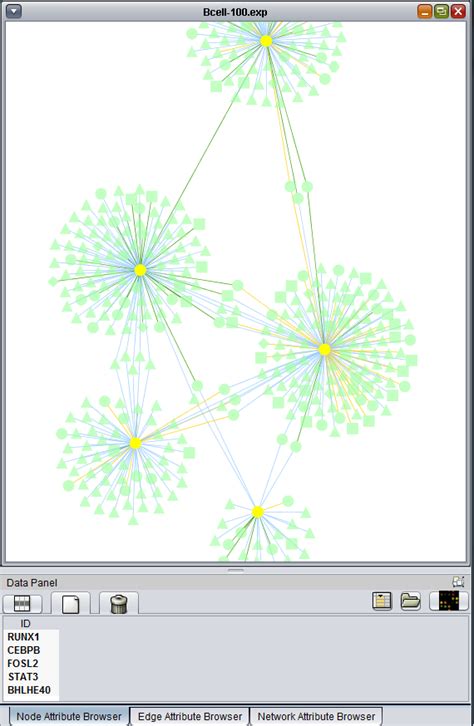 Cytoscape Network Viewer Geworkbench