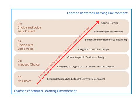 Agency By Design The Continuum Of Choice Aurora Institute