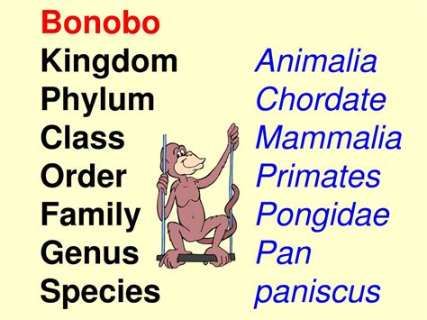 Ppt Taxonomy Powerpoint Presentation Free Download Id2788664