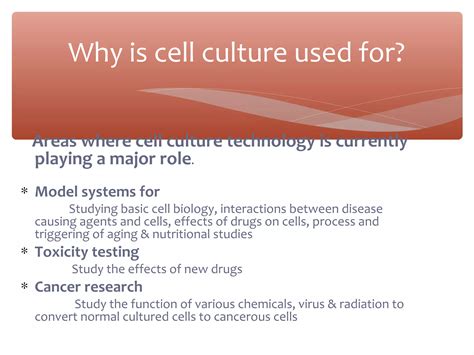 Cell Culture Introduction Ppt