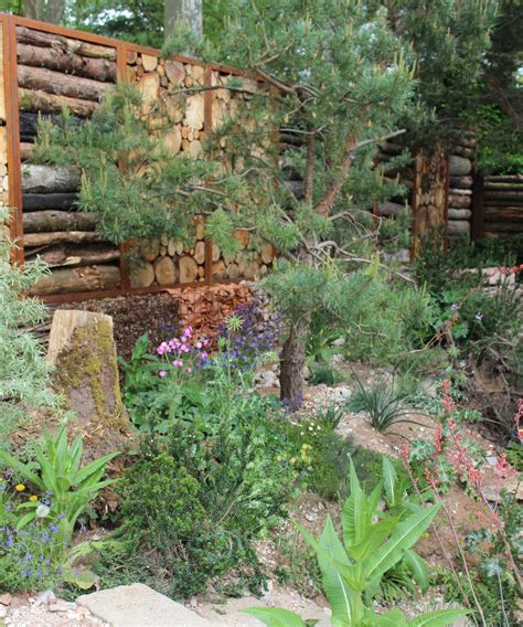 Best Trees For Small Gardens And How To Help Them Thrive Ideal Home