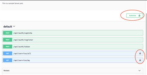 Gin Swagger 如何鉴权tokensecurity Apikeyauth Csdn博客