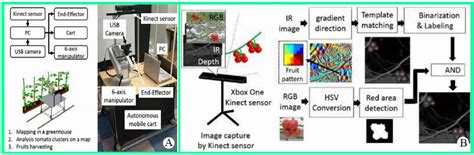 Recent Advances In Intelligent Automated Fruit Harvesting Robots