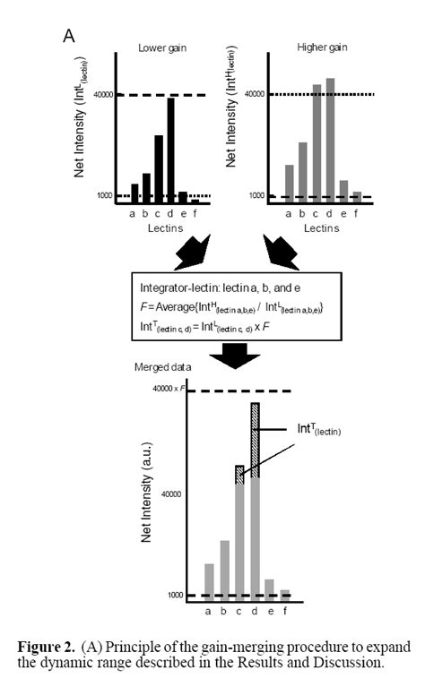 Proteomics Bioinformatics Principle