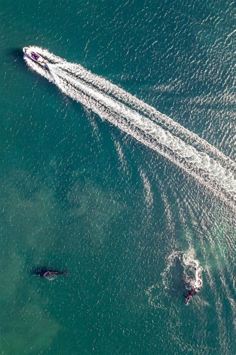 드론 촬영 드론으로 찍은 사진 모터보트 바다 바다 경치 배 보트 수직 쐈어 위에서 내려다 본 조감도 항공 사진에 관한 무료 스톡 사진