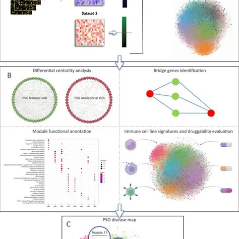 Overview Of The Analytical Pipeline Conceived And Developed In This Download Scientific Diagram
