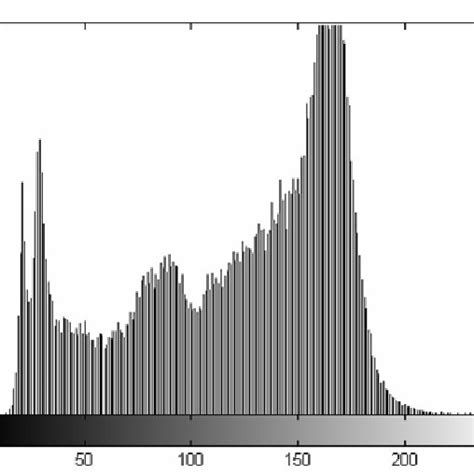 Histogram Analysis Of Grayscale Image Download Scientific Diagram