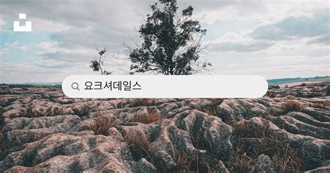 요크셔데일스 사진 Unsplash에서 무료 이미지 다운로드