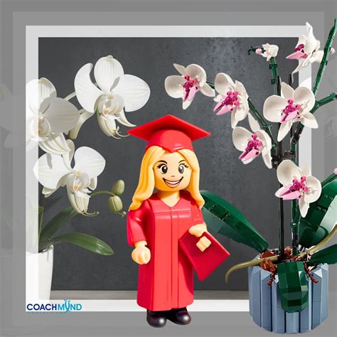 Playfulnessinpsychology Seriouslyplayful Legoseriousplay