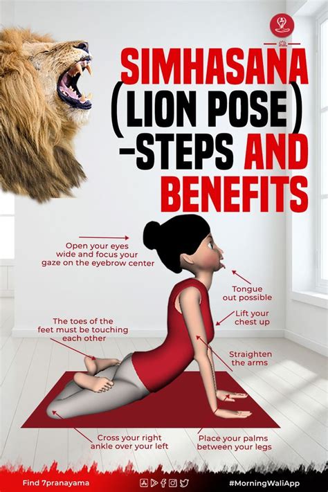 Simhasana Lion Pose Steps And Benefits Artofit