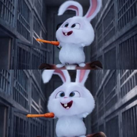 마이펫의 이중생활 토끼 스노우볼 짤 네이버 블로그