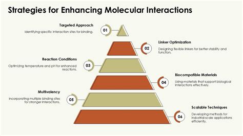 Strategies For Enhancing Molecular Interactions Bioconjugation