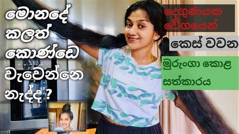මුරුංගා කොළ වලින් කොණ්ඩේ දික් කර ගන්න හරිම විදිය 💯 කොණ්ඩෙට ආදරෙයි නම් අනිවාරෙන් බලන්න