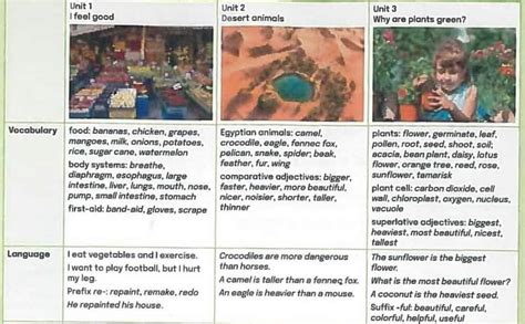 شرح منهج كونكت للصف الرابع الابتدائي 2022 الترم الاول