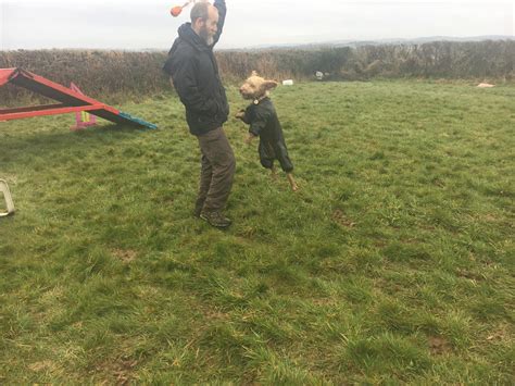 🥳 Happy Birthday To Our Dad 🥳 Colin The Blind Cockerpoo