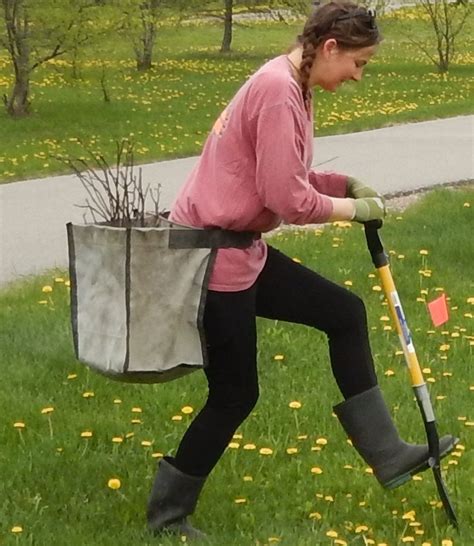 Tree Planting Lake Of The Woods SWCD