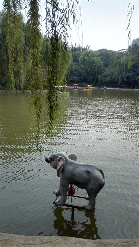 Excel Vba应用（19）：演示如何利用宏，在ppt中调取excel中的题库 知乎