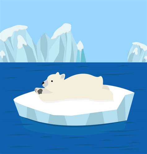 Ice Cub Illustrations Illustrations Royalty Free Vector Graphics And Clip Art Istock