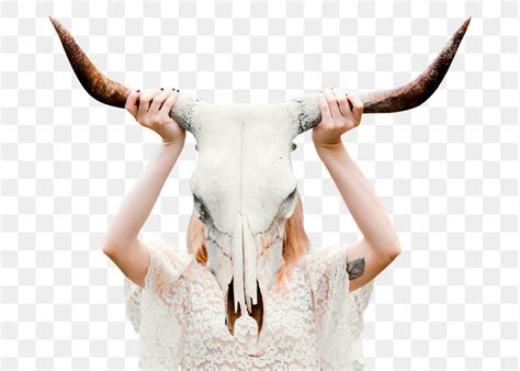 Woman Skeleton Skull Images Free Photos Png Stickers Wallpapers