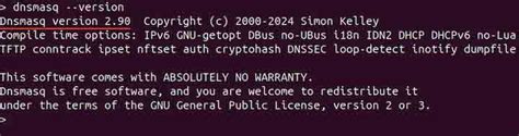 dnsmasq command in linux