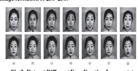 Figure 3 From Facial Expression Recognition Based On Hybrid Featured