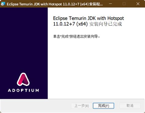 Java 环境安装教程自动配置环境变量 NJUPT SAST