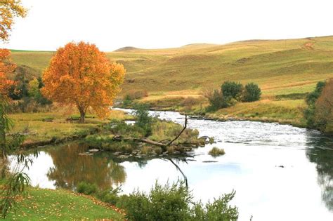 Underberg Get The Best Accommodation Deal Book Self Catering Or Bed