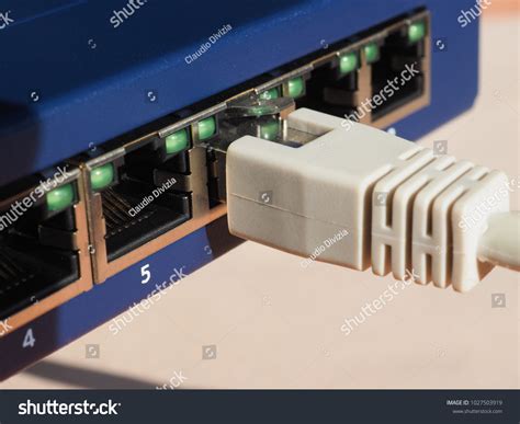 Modem Router Switch Ports Rj Plug Stock Photo Shutterstock