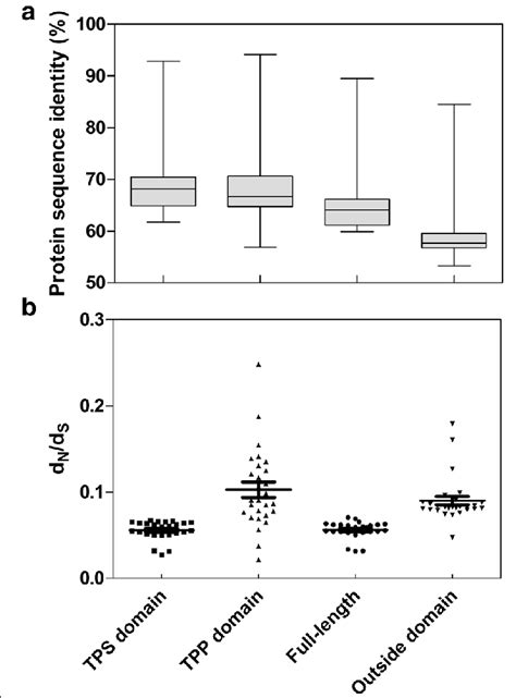 Pairwise Sequence Identities And D N D S Ratios For Different Regions Download Scientific