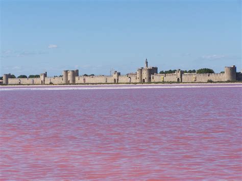 Visiter Aigues Mortes Occitanie A Faire à Voir à Aigues Mortes