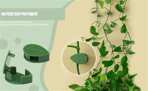 Yoosso 60 Pcs Clip Per Piante Parete Per Piante Autoadesiva Plant
