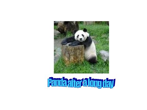 Pandas Ppt