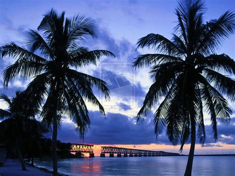 Florida Wallpapers Wallpaper Cave